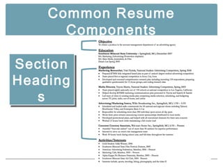 Resume writing example | PPT