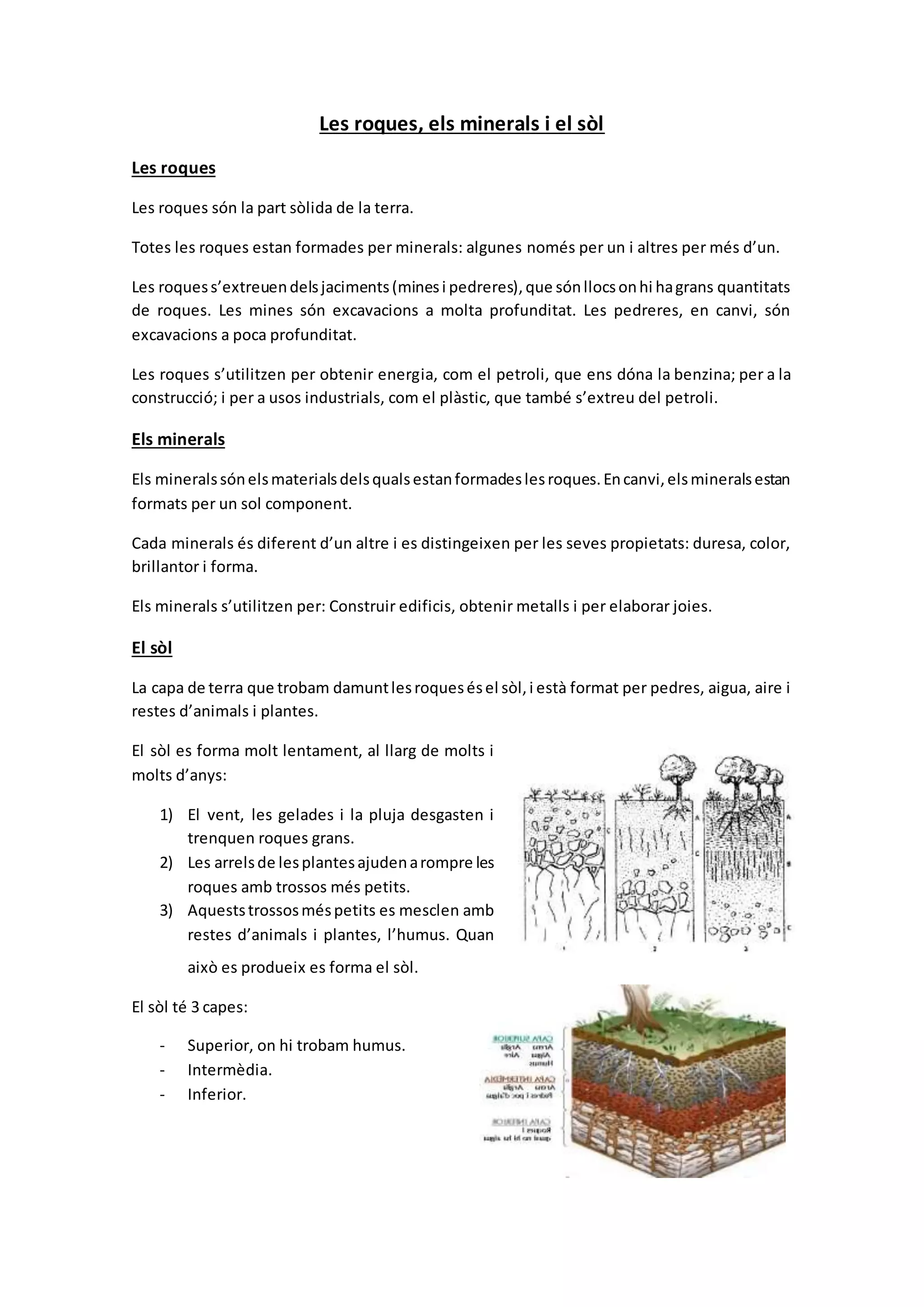 Resum les roques, els minerals i el sòl. | DOCX
