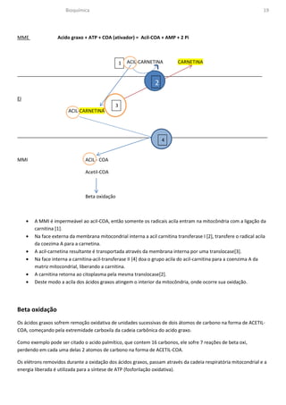 Resumo bioquimica-2 | PDF
