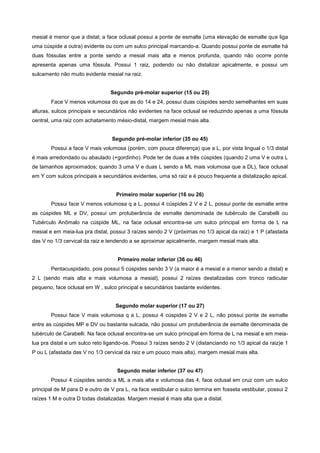 Resumo Anatomia Dental | PDF