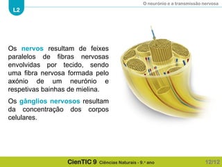 Resumo_ctic9_O neurónio e a transmissão nervosa.pptx