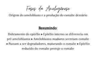 Resumo de histologia bucodental UNICATÓLICA Ap1.pdf