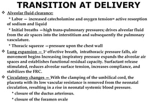 Resuscitation of the newborn | PPT