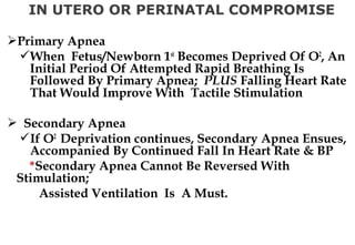 Resuscitation of the newborn | PPT