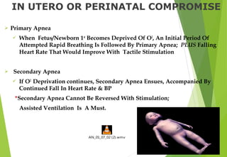 Resuscitation of the newborn | PPT