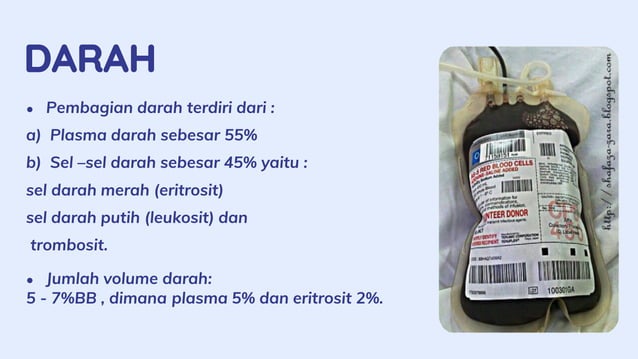Resusitasi Cairan Pada Pasien Kritis | PDF
