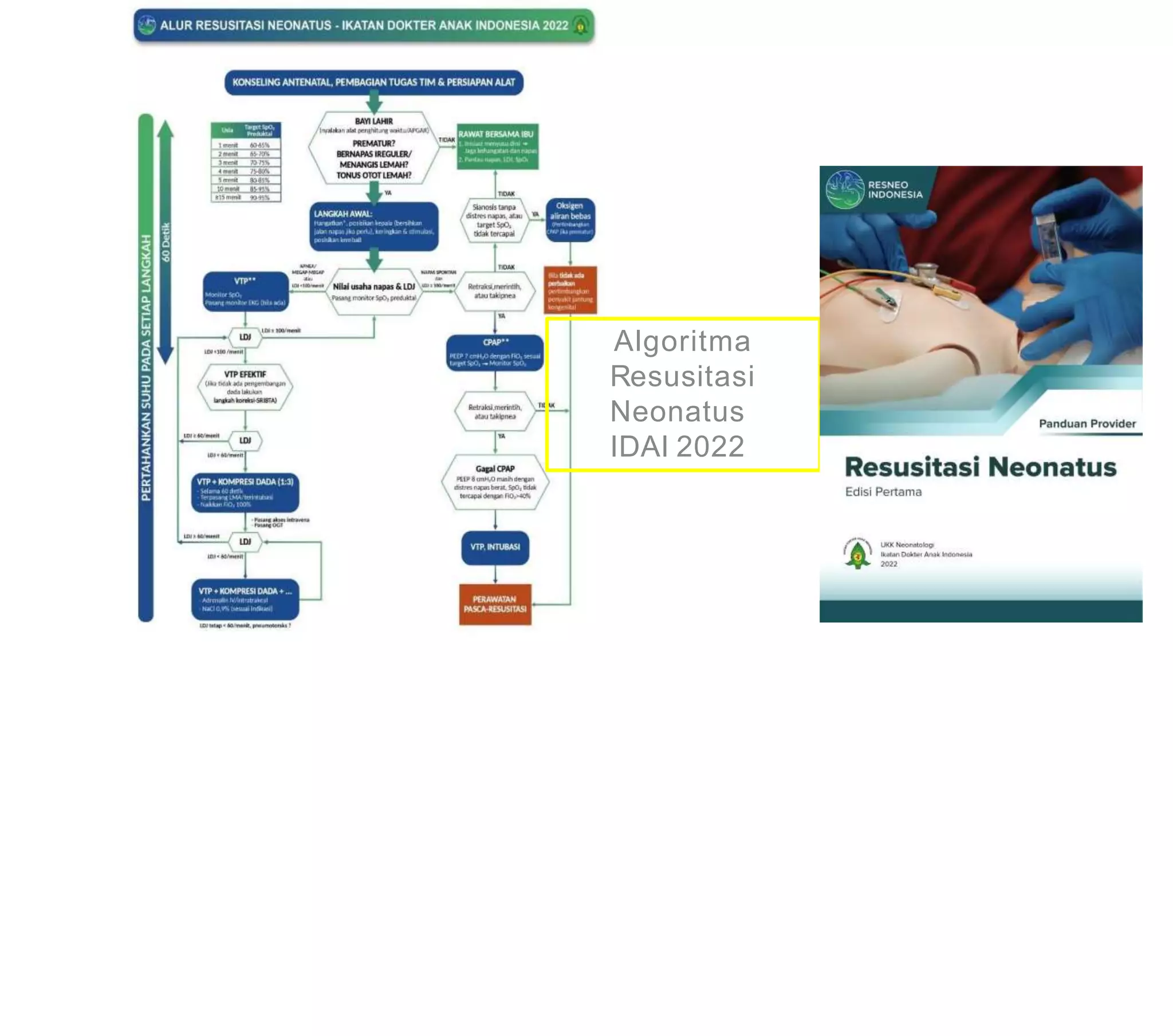 Resusitasi neonatus 2022.pptx
