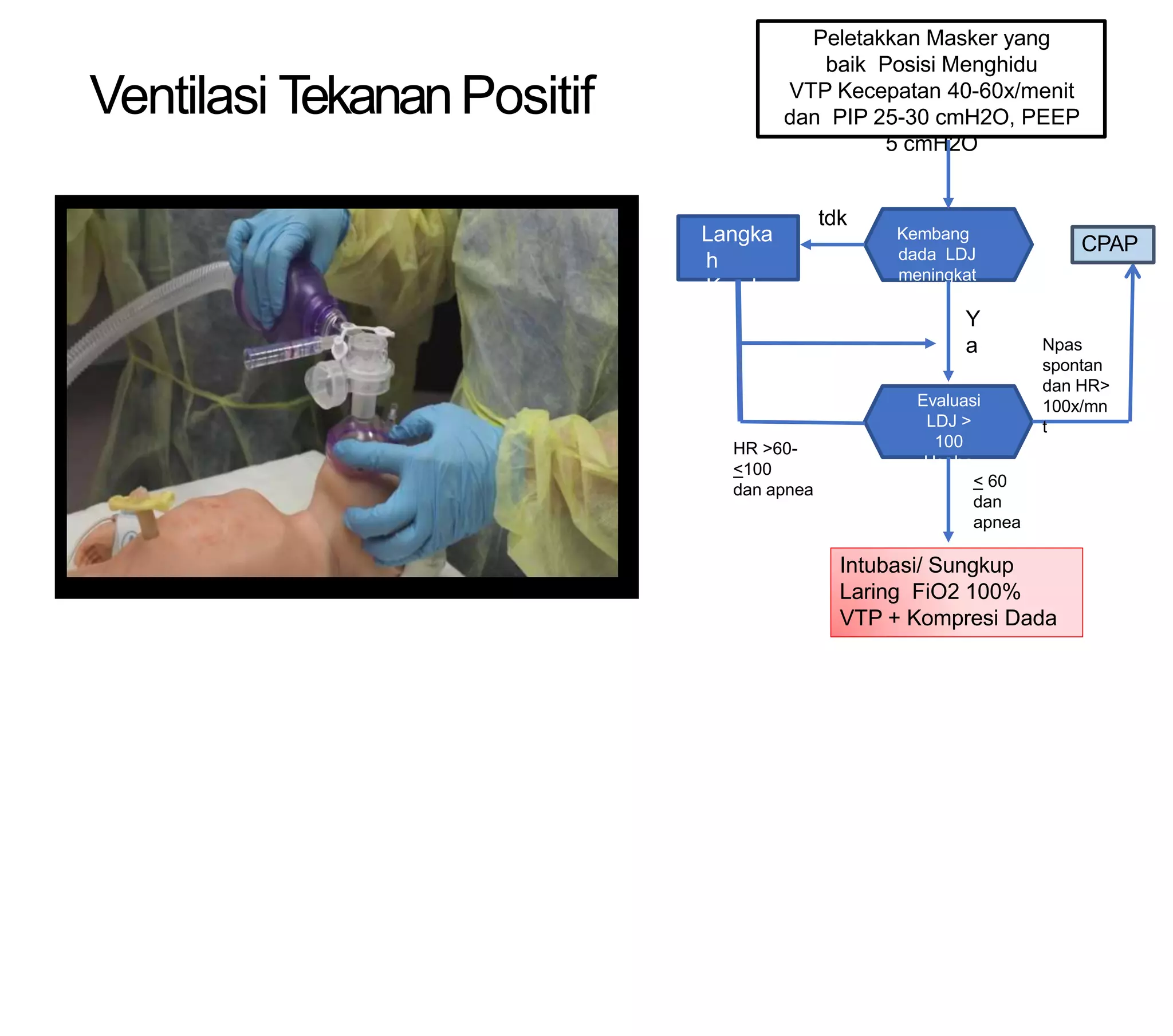 Resusitasi neonatus 2022.pptx