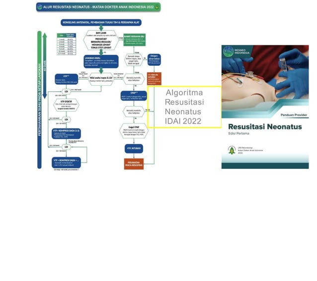 Resusitasi neonatus 2022.pptx