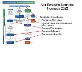 Resusitasi neonatus 2022.pptx