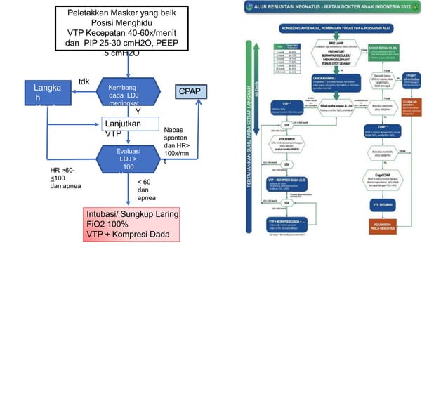 Resusitasi neonatus 2022.pptx