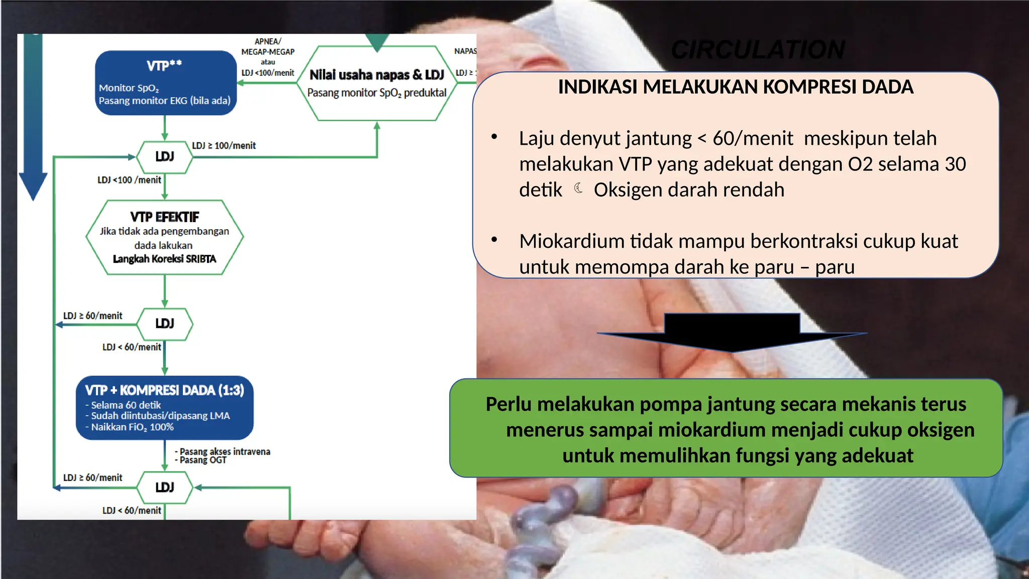 Resusitasi Neonatus Indonesia Versi IDAI 2022 | PPTX