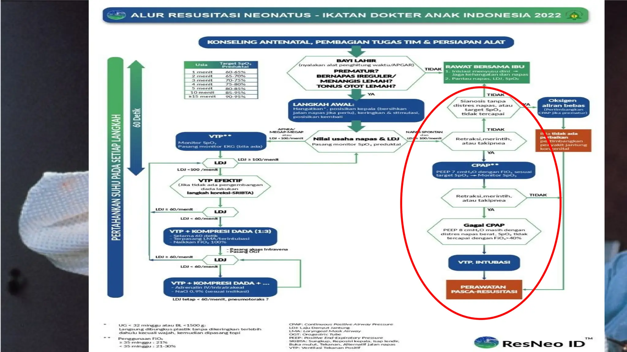 Resusitasi Neonatus Indonesia Versi IDAI 2022 | PPTX