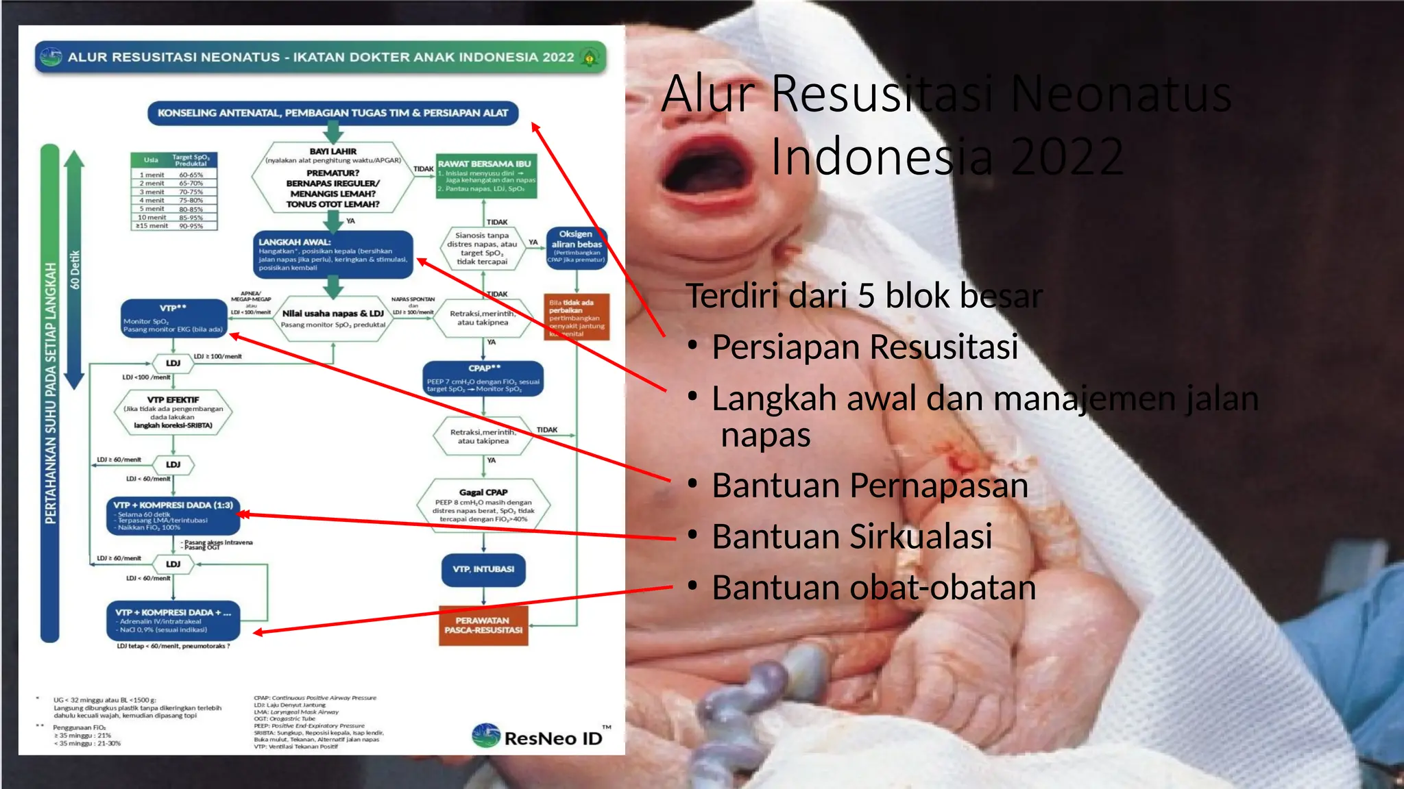 Resusitasi Neonatus Indonesia Versi IDAI 2022 | PPTX