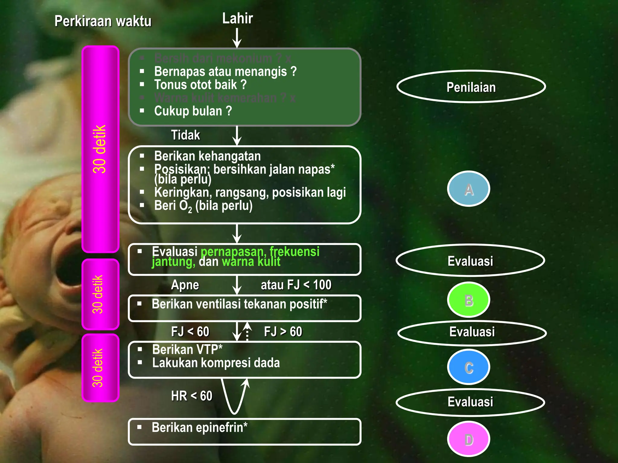 power point RESUSITASI NEONATUS / bayi baru lahir | PPTX