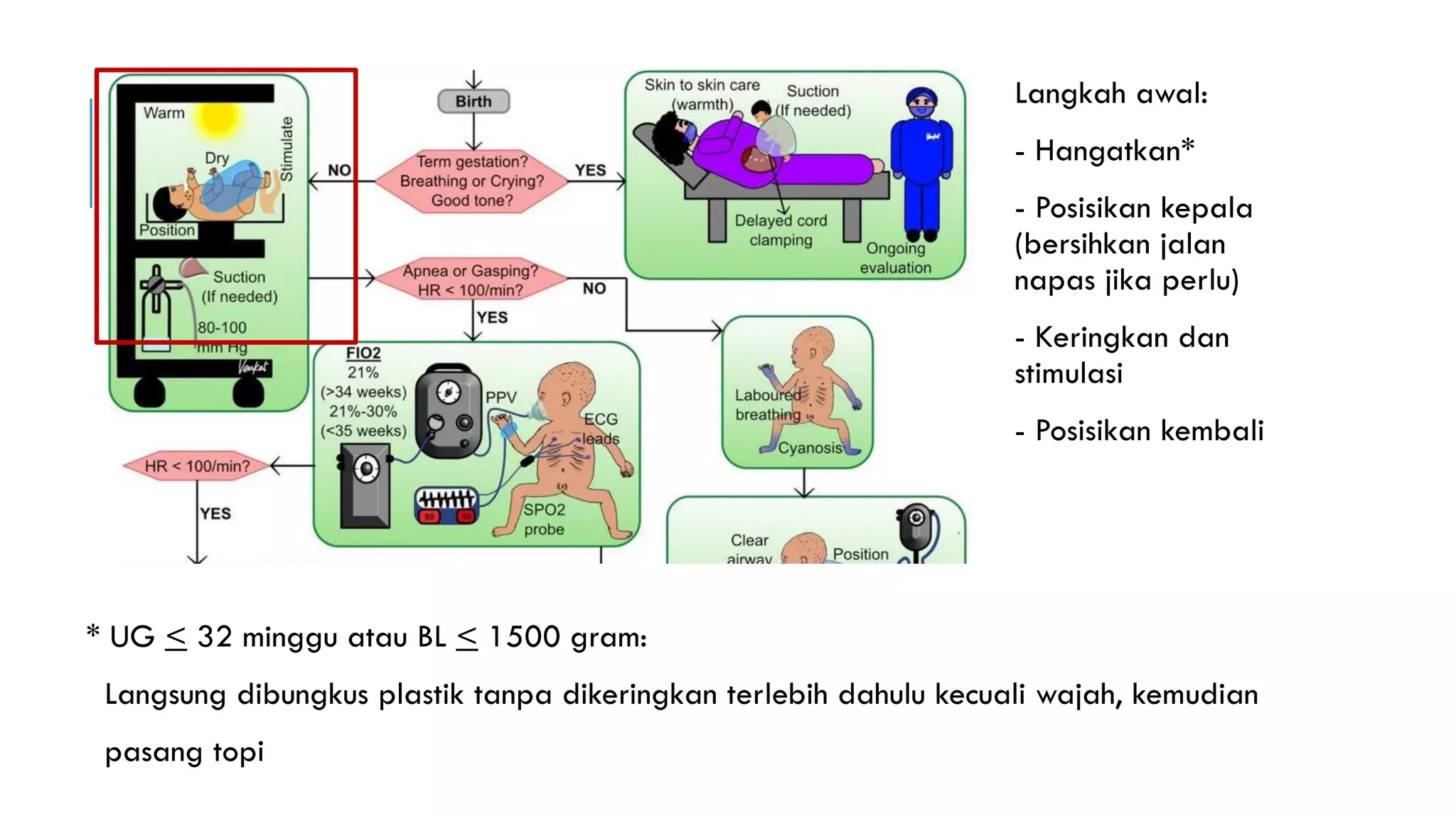 Resusitasi, Stabilisasi, dan Transportasi Neonatus.pdf