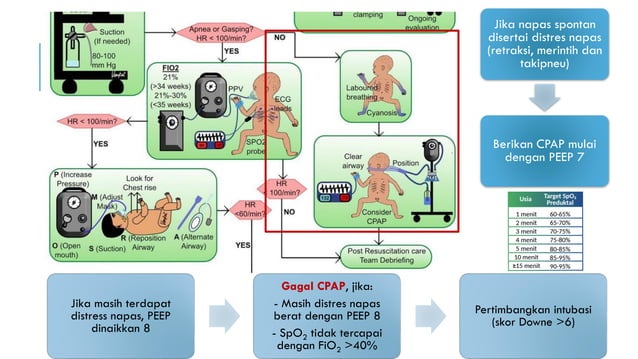 Resusitasi, Stabilisasi, dan Transportasi Neonatus.pdf