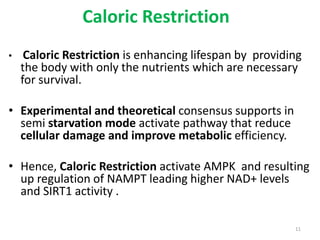 Resveratrol, caloric restriction and longevity in human mitochondrial ...