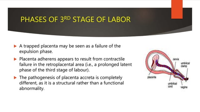 Retained placenta | PPT