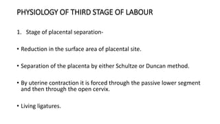 Shiny Schultz Placenta