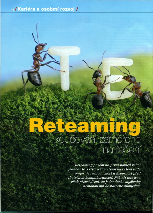 Reteaming | PDF