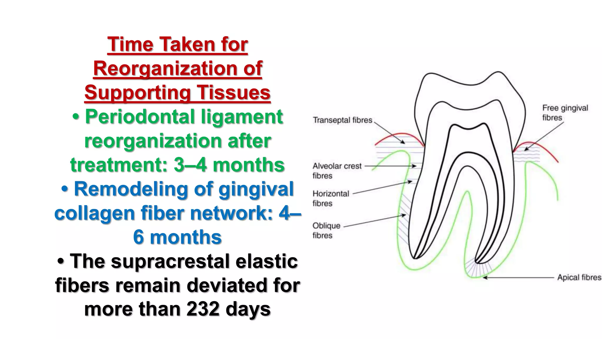 Retention after orthodontic therapy | PPTX