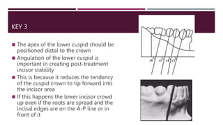 RETENTION AND RELAPSE IN ORTHODONTICS | PPTX