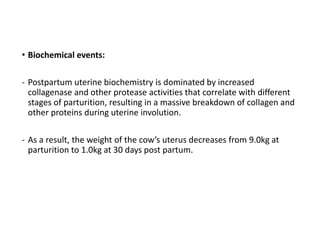 Retention Of Placenta | PPTX