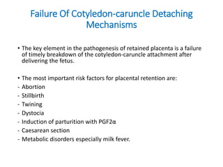 Retention Of Placenta | PPTX