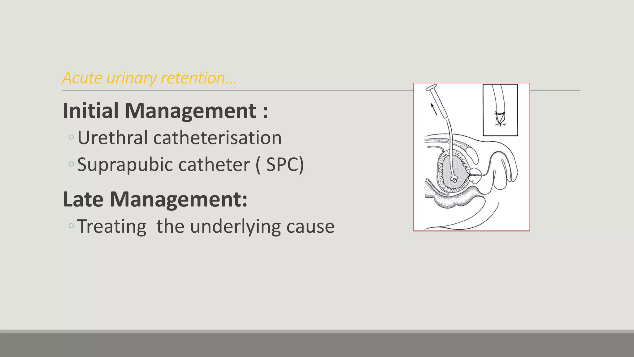 Retention of urine | PPTX
