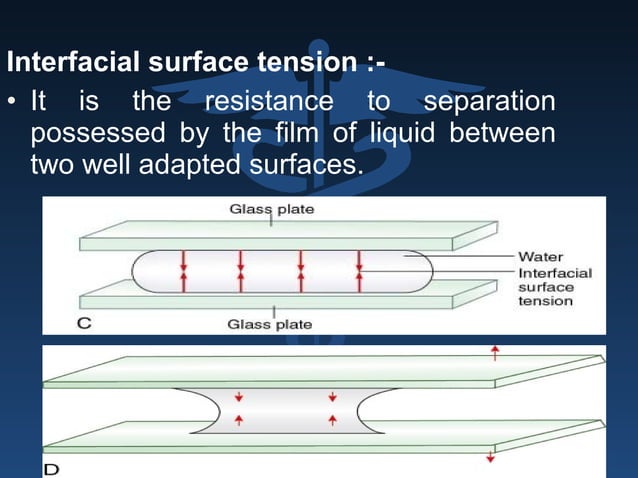 Retention stability support in complete dentures | PPT | Dental Health ...