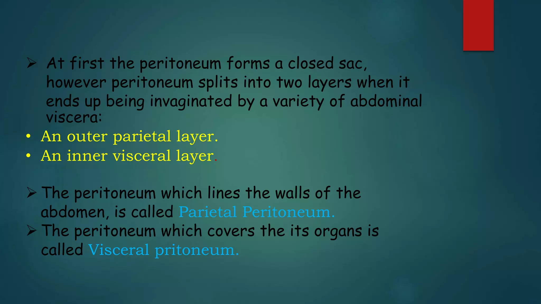 Reteroperitoneal space (Student Scientific Seminar) | PPTX