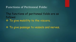 Reteroperitoneal space (Student Scientific Seminar) | PPTX