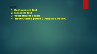 Reteroperitoneal space (Student Scientific Seminar) | PPTX