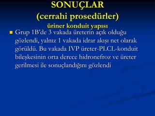 Ureter Rejeneration:The Proper Scaffold Has to Be Defined itfurology | PPTX
