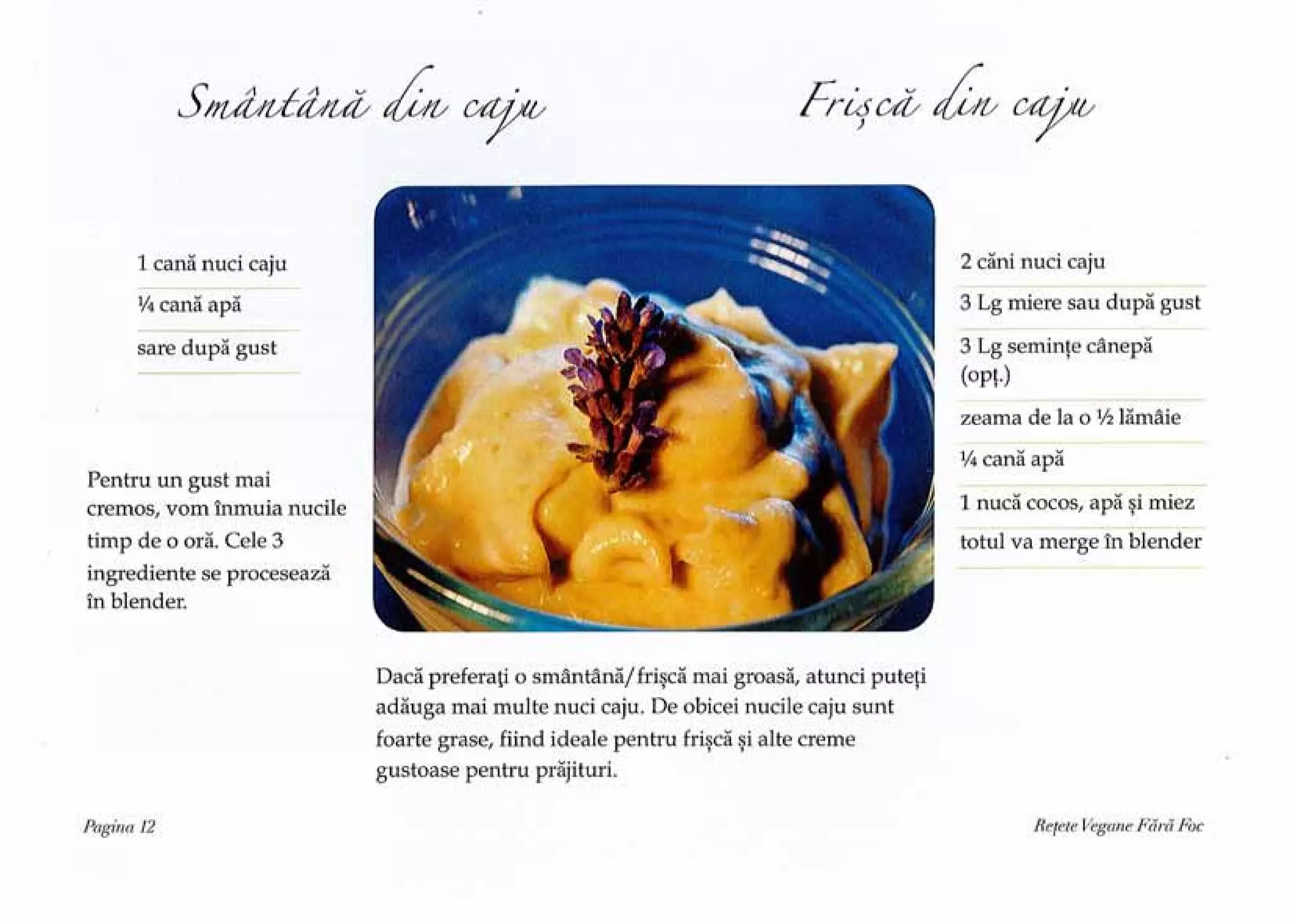 Retete vegane ligia pop | PDF