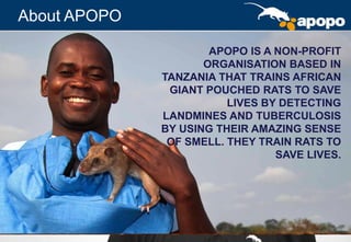 Charity Case Study: APOPO | PPT
