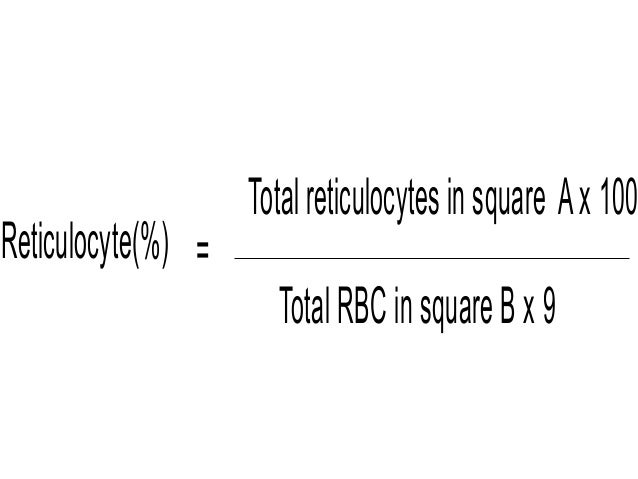 Reticulocyte count