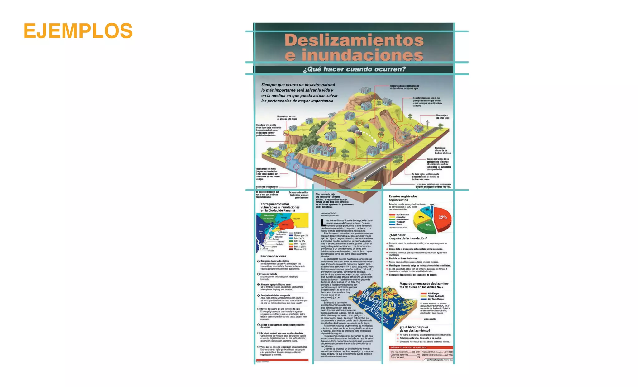 Reticula | PPT