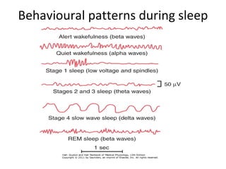 Reticular activating system | PPT