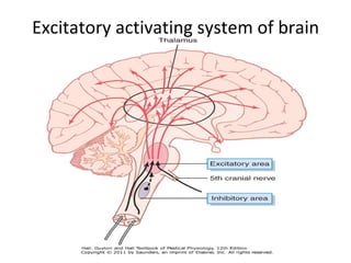 Reticular activating system | PPT