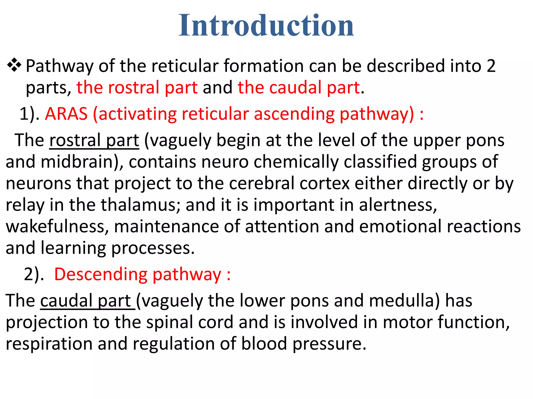 Reticular activating system | PPTX