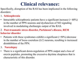Reticular activating system | PPTX
