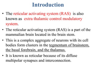 Reticular activating system | PPTX