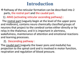 Reticular activating system | PPTX