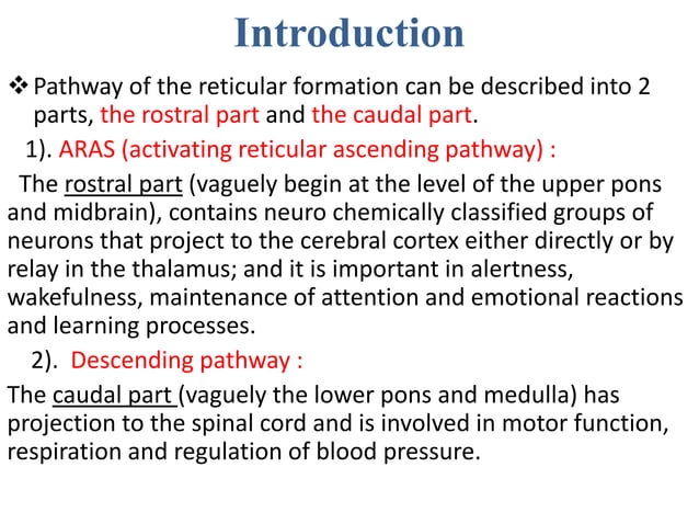 Reticular activating system | PPTX | Brain and Nervous System Disorders ...