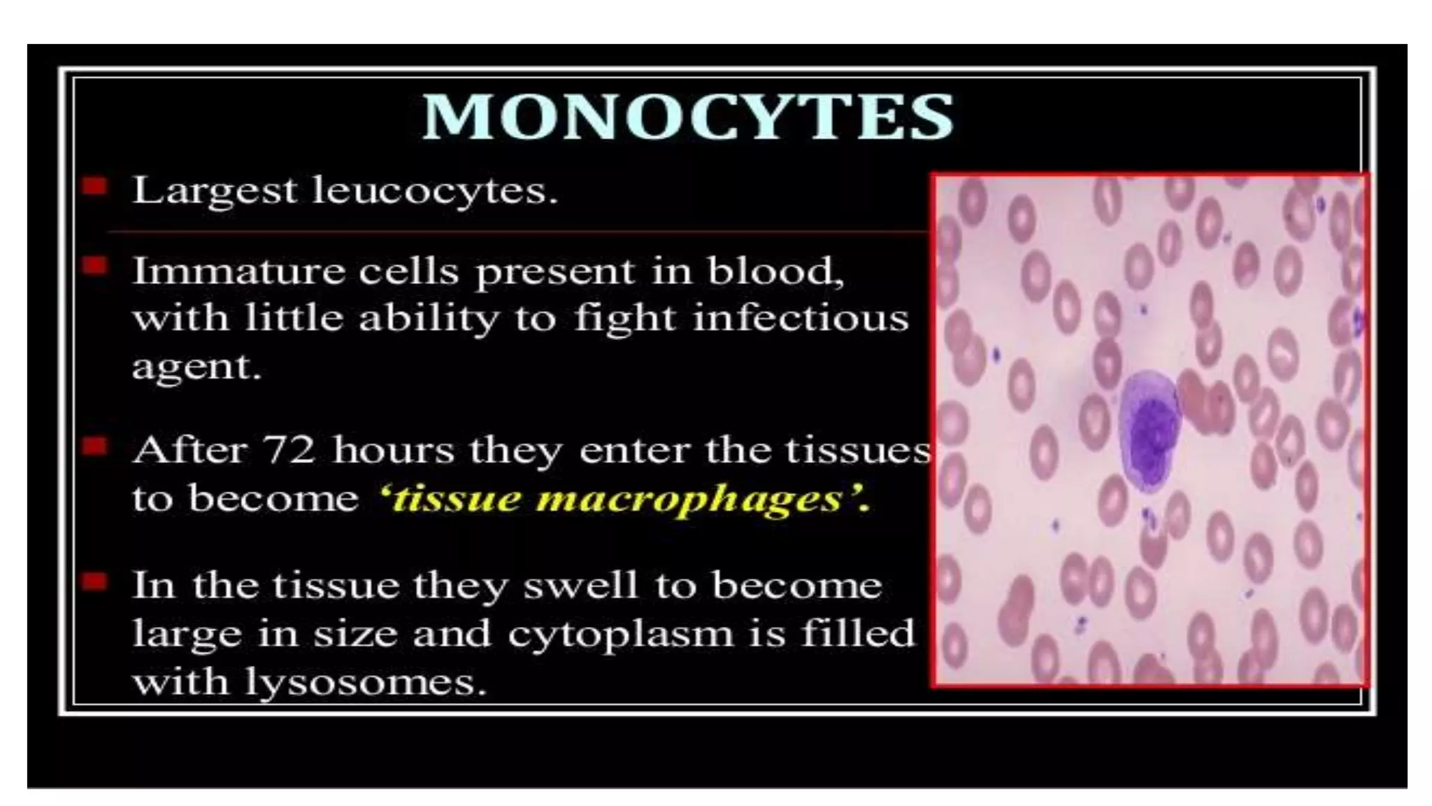 Reticular endothelial system | PPTX