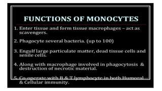 Reticular endothelial system | PPTX