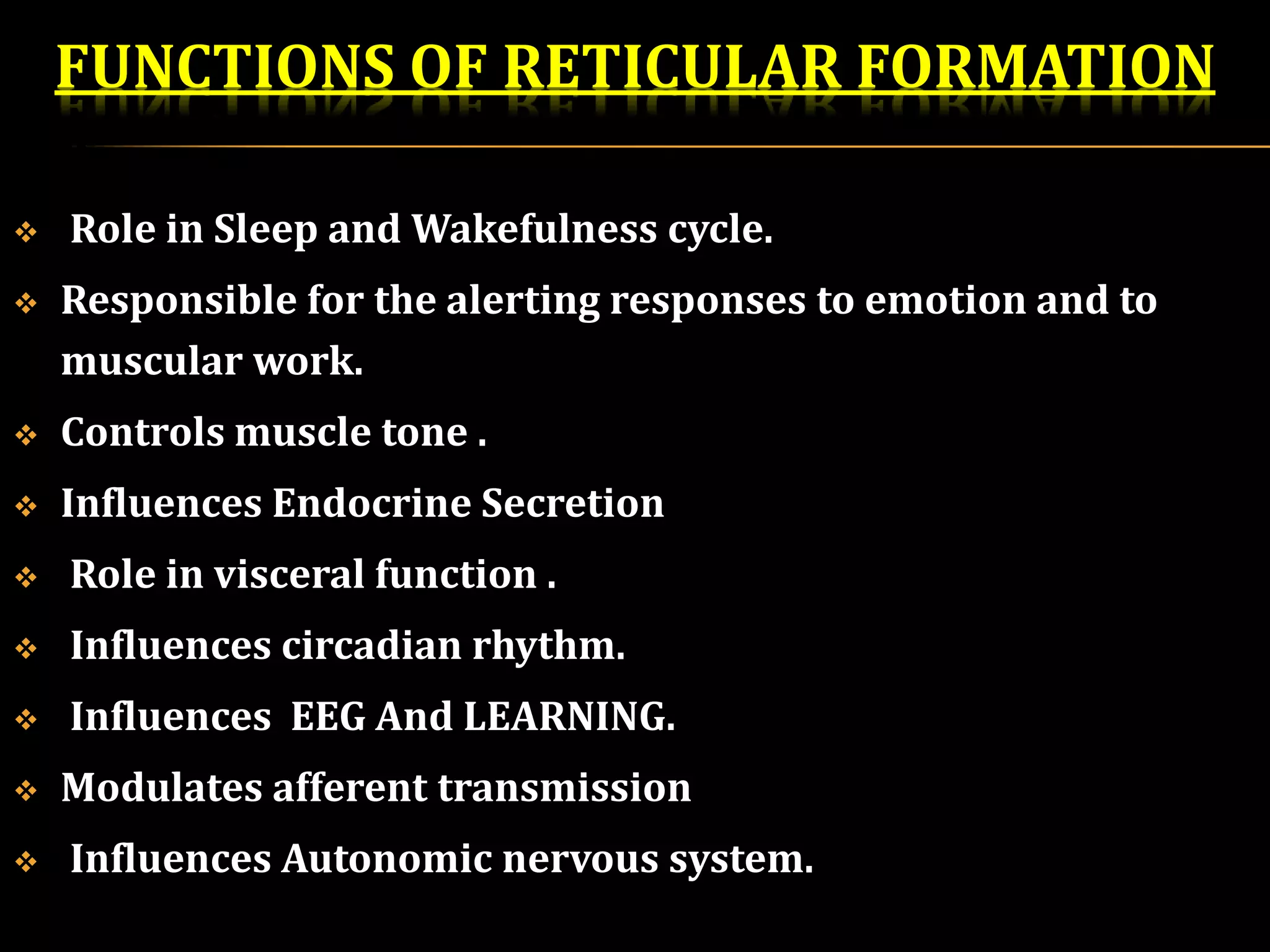 Reticular formation | PPTX
