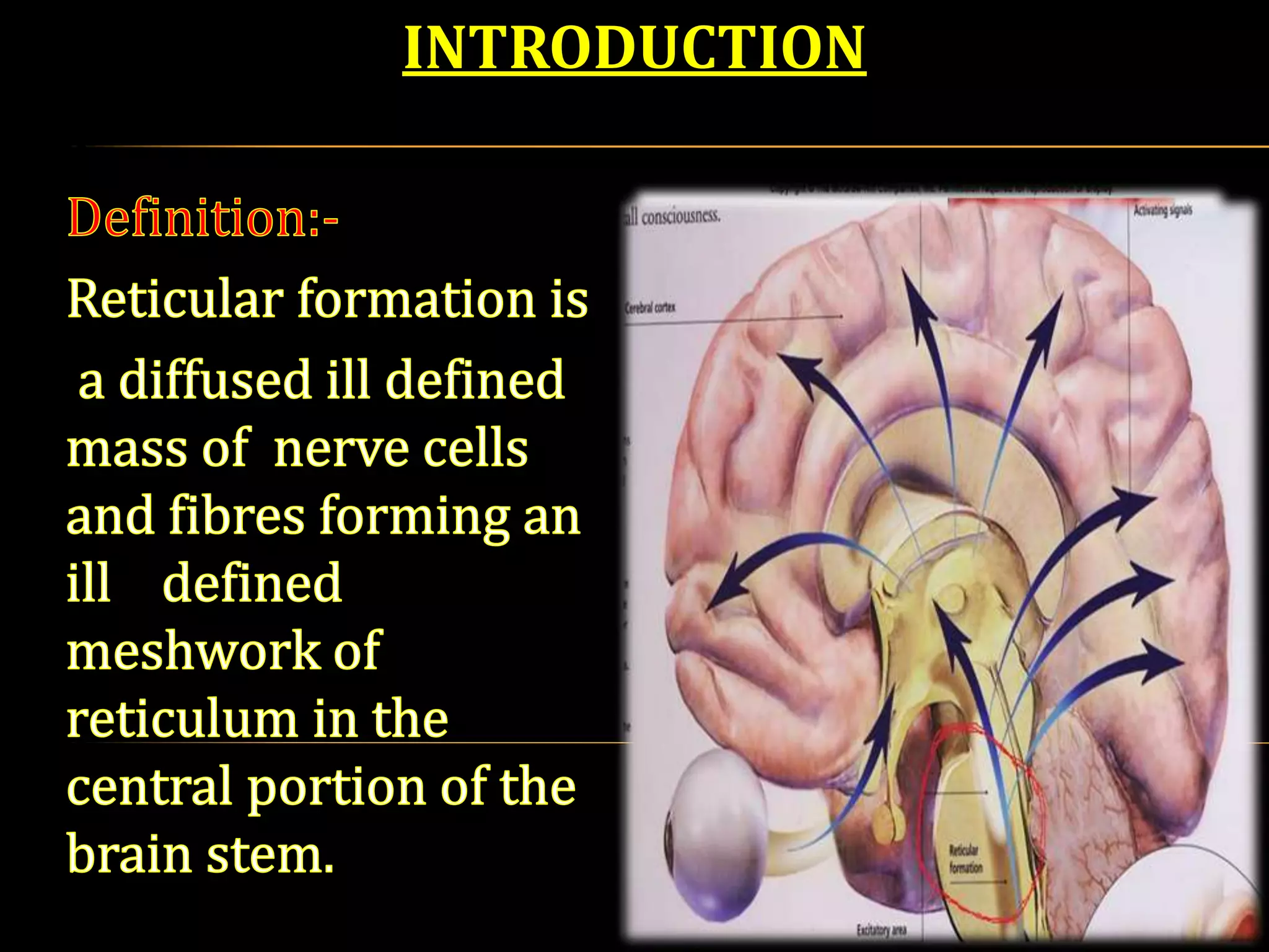 Reticular formation | PPTX
